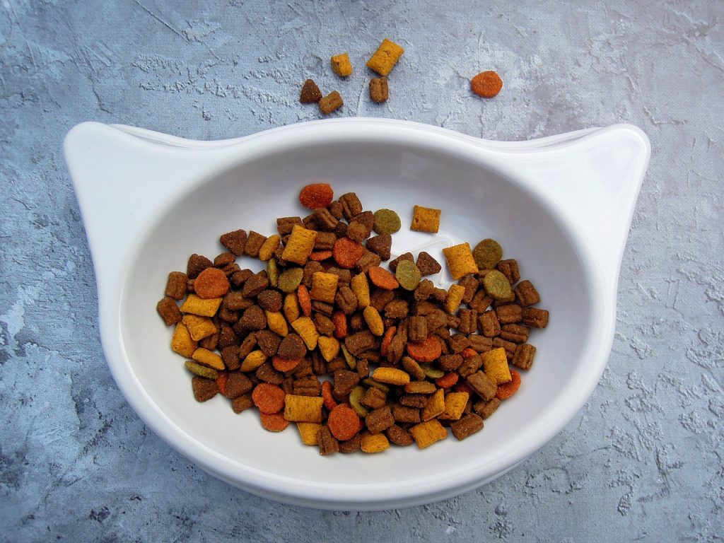 nassfutter | Bestes Katzenfutter